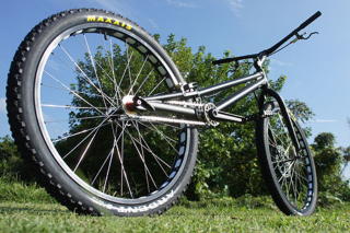 ECHO MARK Ti 26in 詳細 - まめつぶ.サイクル